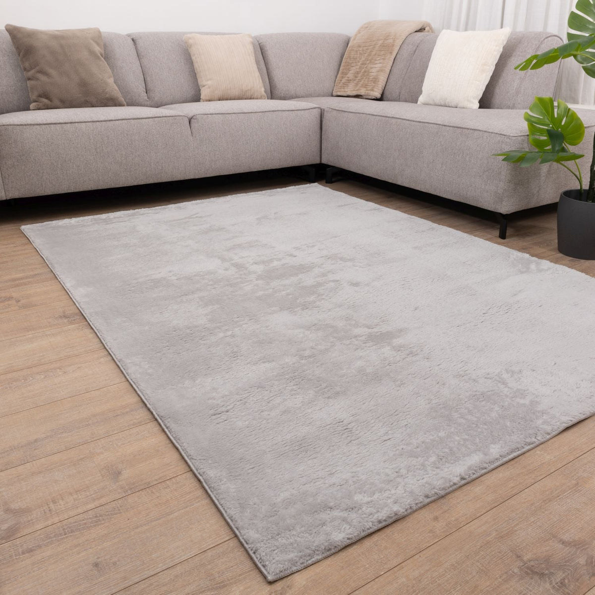 Tapijt kopen | De mooiste kleden vindt u Omid Carpets